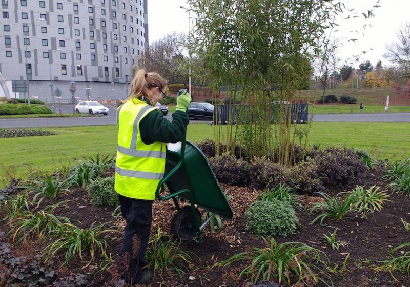 Grounds Maintenance Services - UK Wide Service - RMT Grounds Maintenance